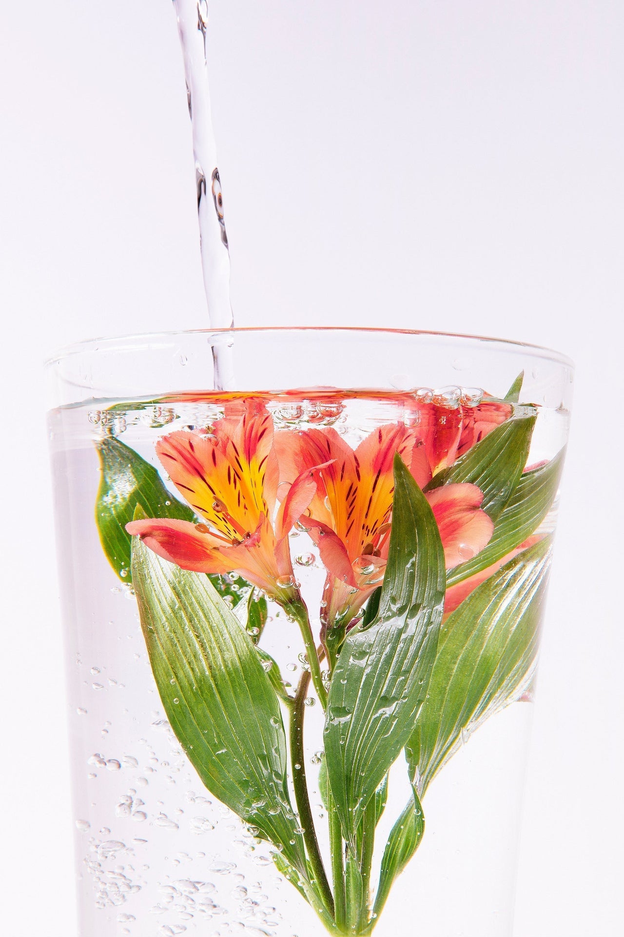The Benefits of Functional Hydration – Cquater Hydration